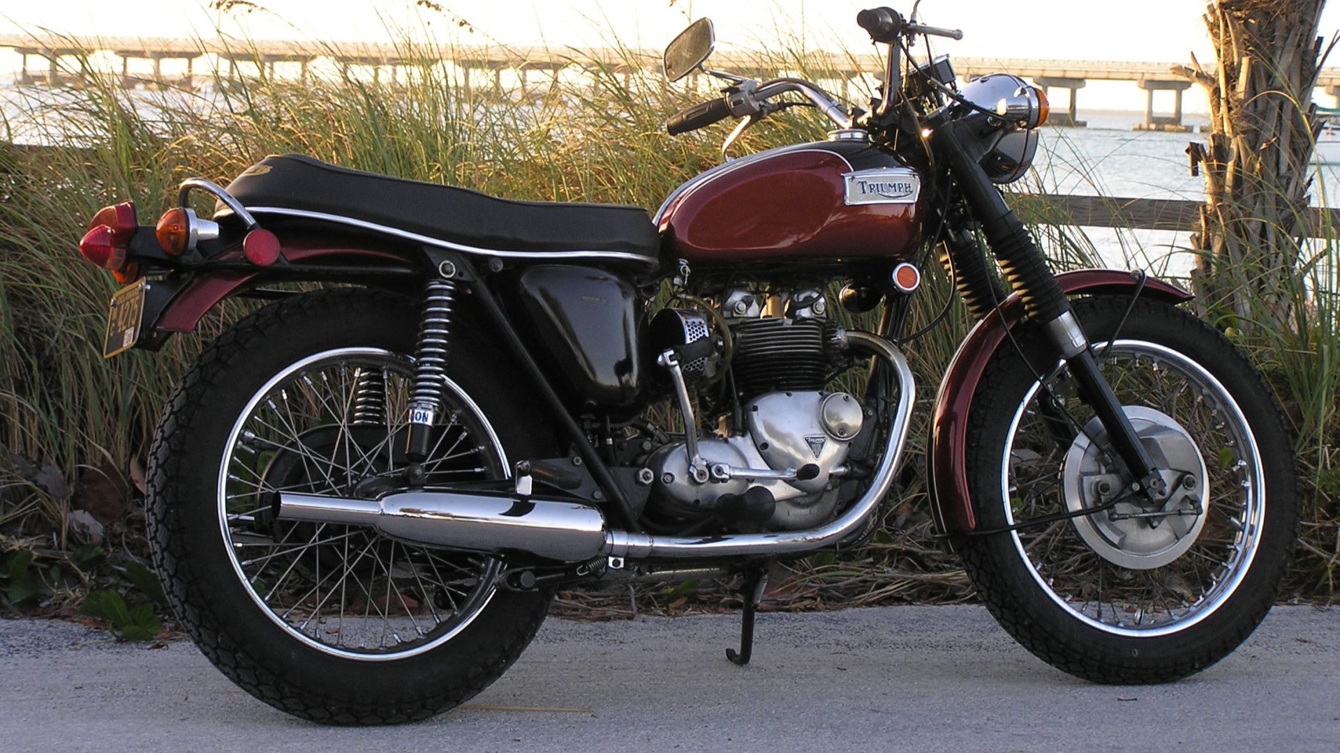 Revving through history: the Triumph legacy